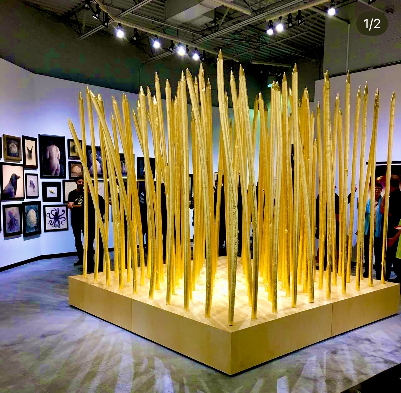 The Process Museum | Art Museum in Tucson, Arizona